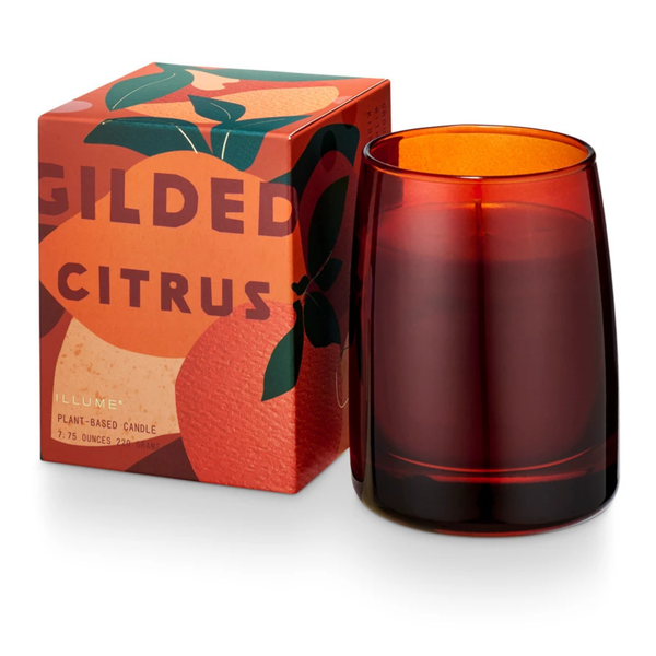 Gilded Citrus Boxed Candle - Curio Collective
