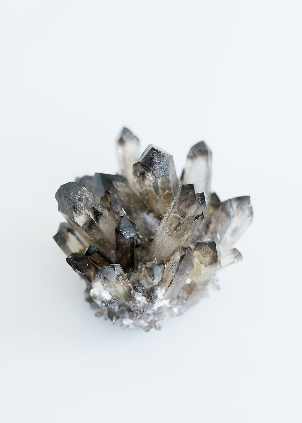 Unique Collection of Curated Gifts + Home Goods | Curio Collective